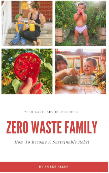 Zero Waste Family by Amber Allen | Goodreads