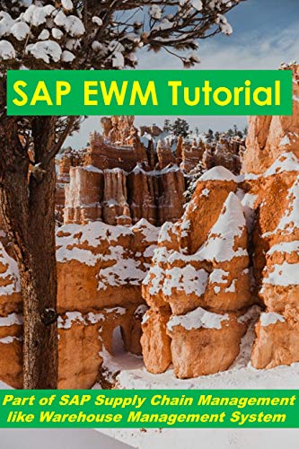 SAP EWM Tutorial: Part of SAP Supply Chain Management like Warehouse ...