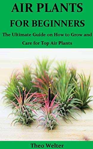 AIR PLANTS FOR BEGINNERS: The Ultimate Guide on How to Grow and Care ...