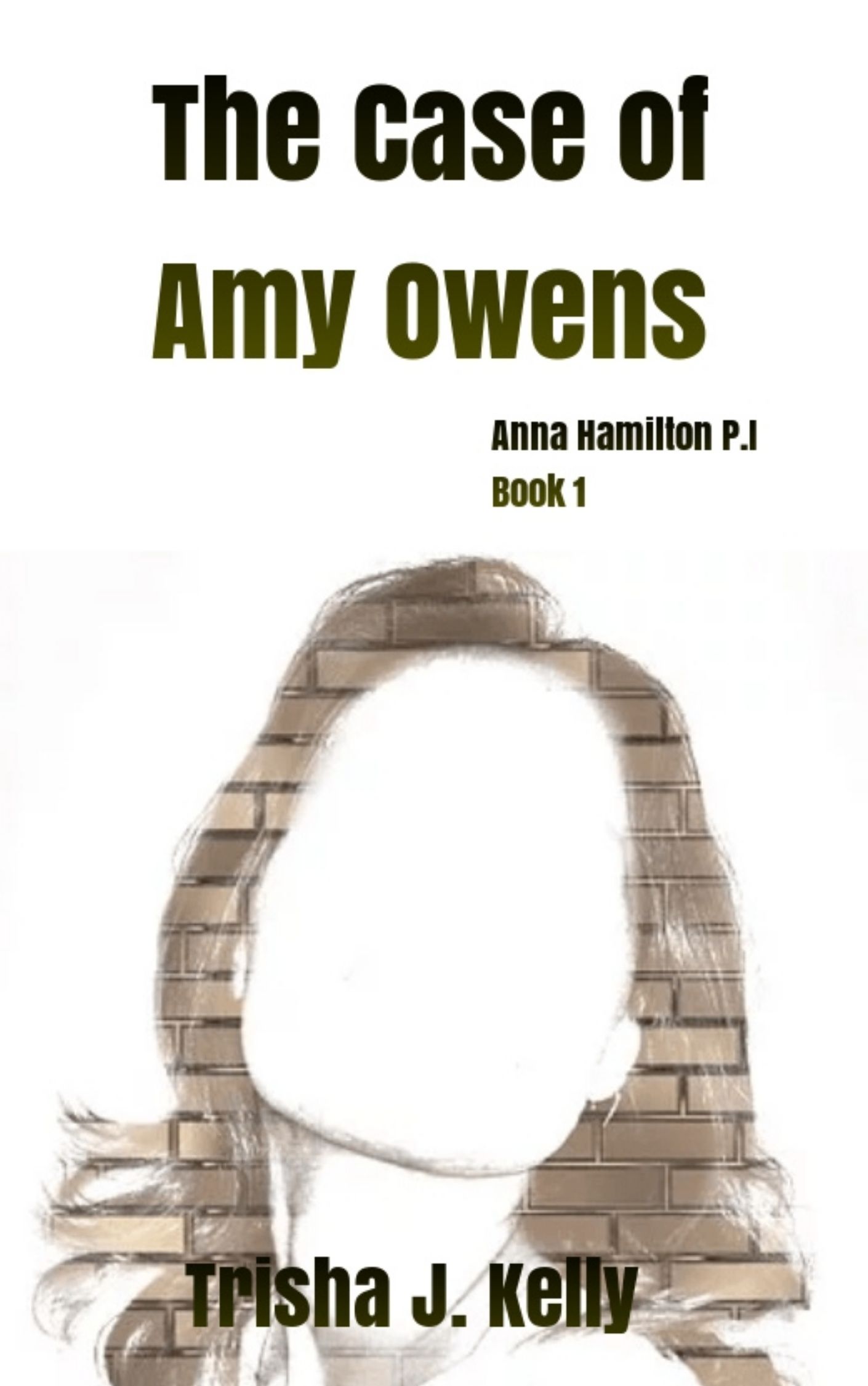 The Case of Amy Owens: Anna Hamilton Mysteries by Trisha J. Kelly | Goodreads