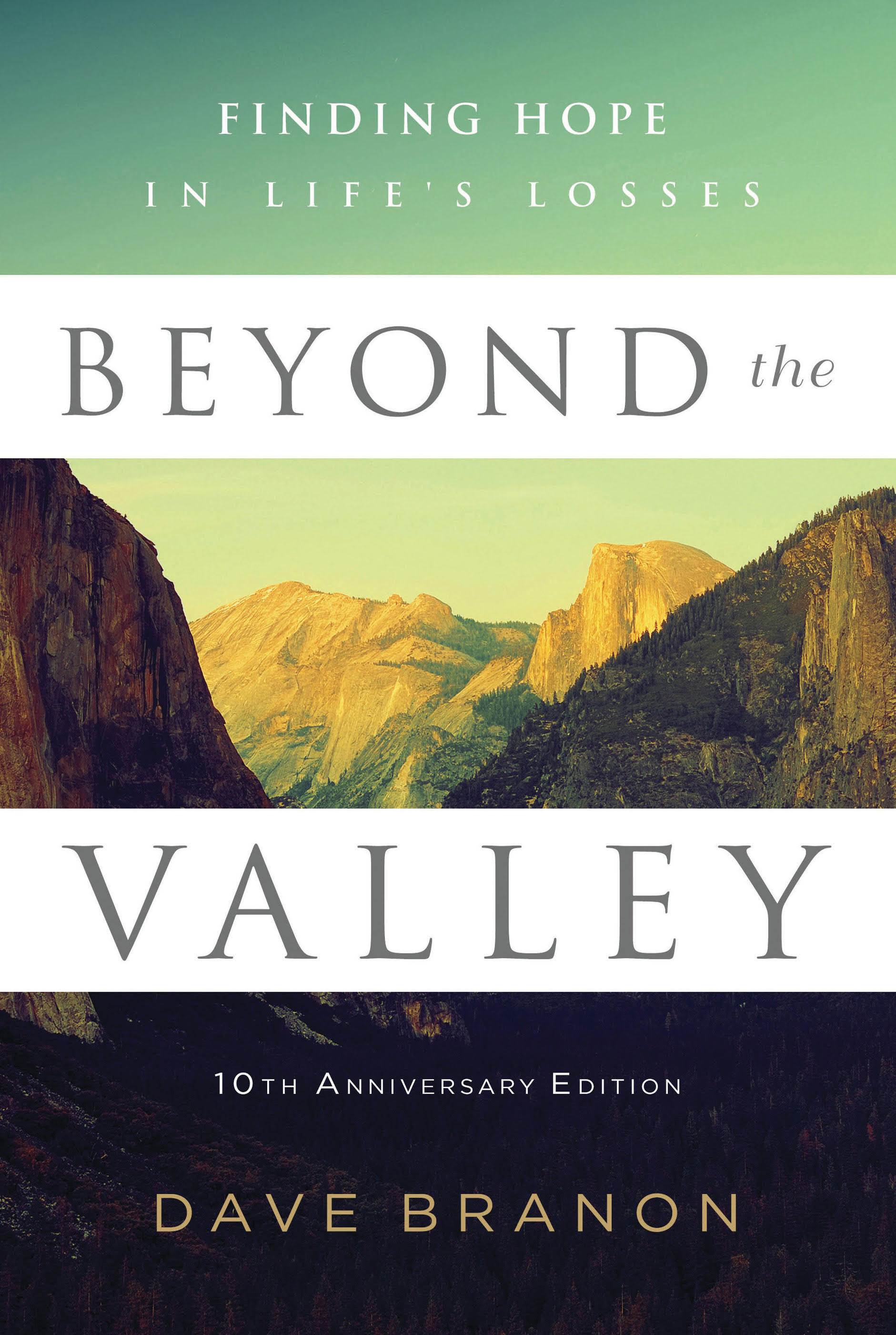 Beyond the Valley: Finding Hope in Life's Losses by Dave Branon | Goodreads