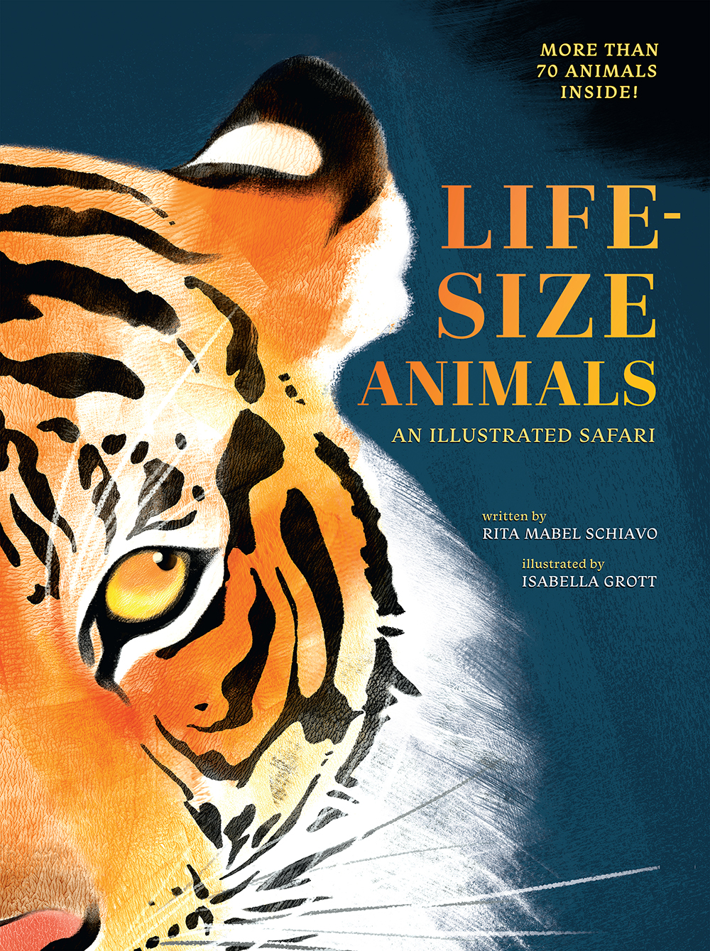 Life-Size Animals: An Illustrated Safari by Rita Mabel Schiavo | Goodreads