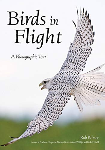 Birds in Flight: A Photographic Essay of Hawks, Ducks, Eagles, Owls ...