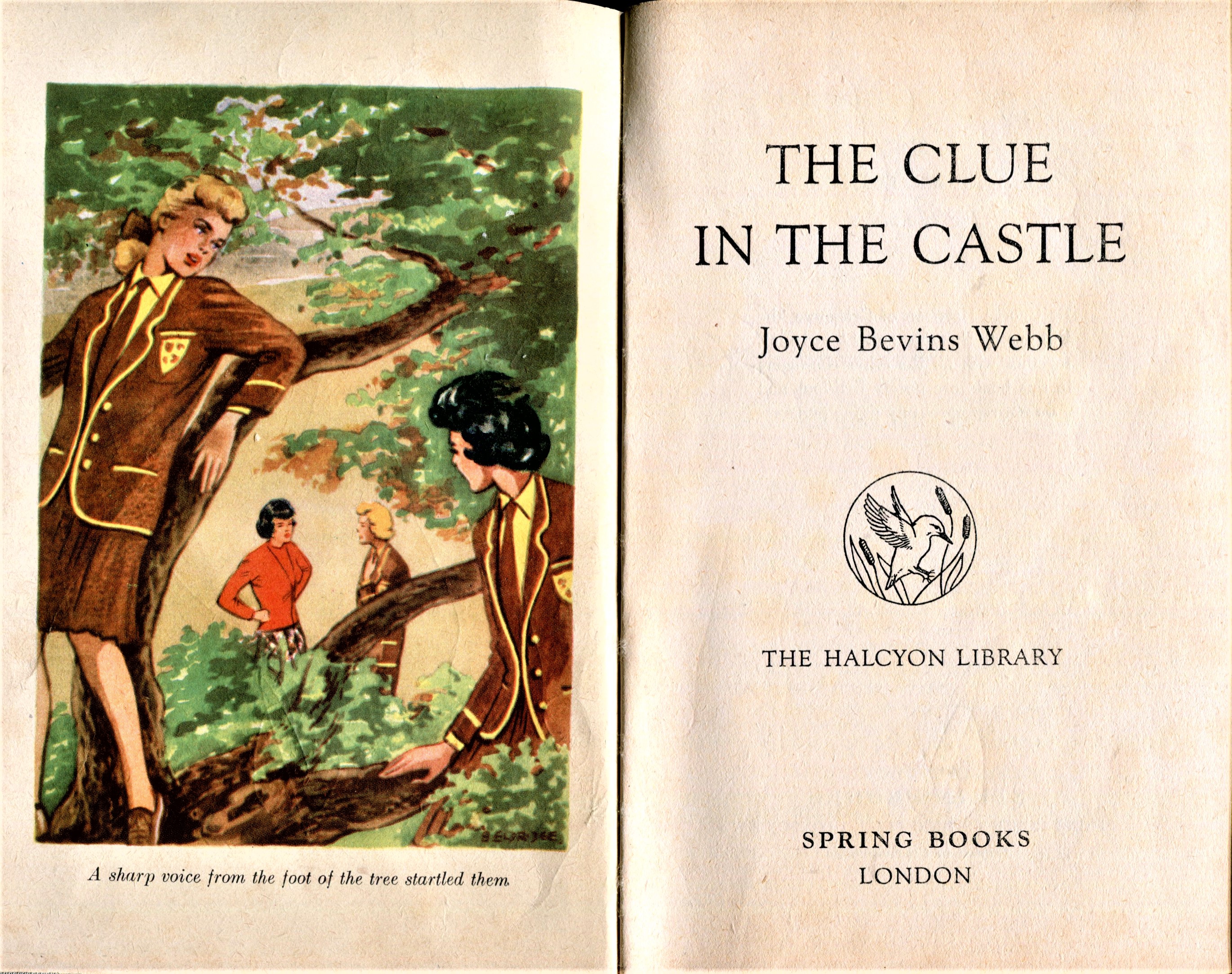 The Clue in the Castle by Joyce Bevins Webb | Goodreads