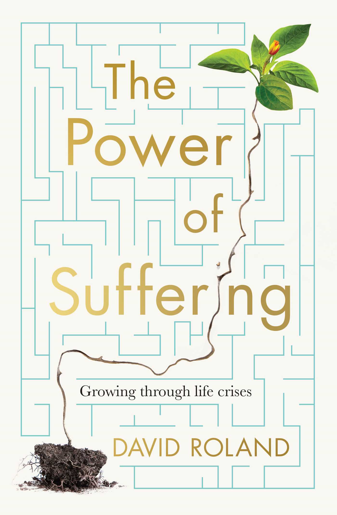 The Power Of Suffering: Growing through life crises by David Roland ...