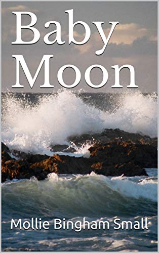 Baby Moon by Mollie Bingham Small | Goodreads
