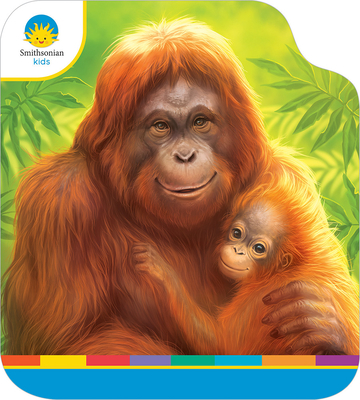Orangutans: Smithsonian Kids Big Head Board Book by Jaye Garnett ...