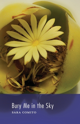 Bury Me in the Sky by Sara Comito | Goodreads