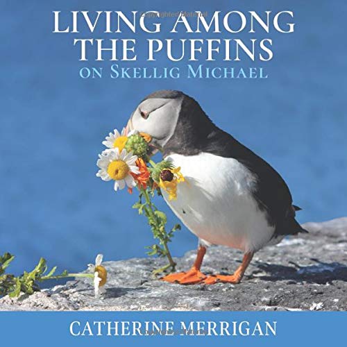 Living Among the Puffins on Skellig Michael by Catherine Merrigan ...
