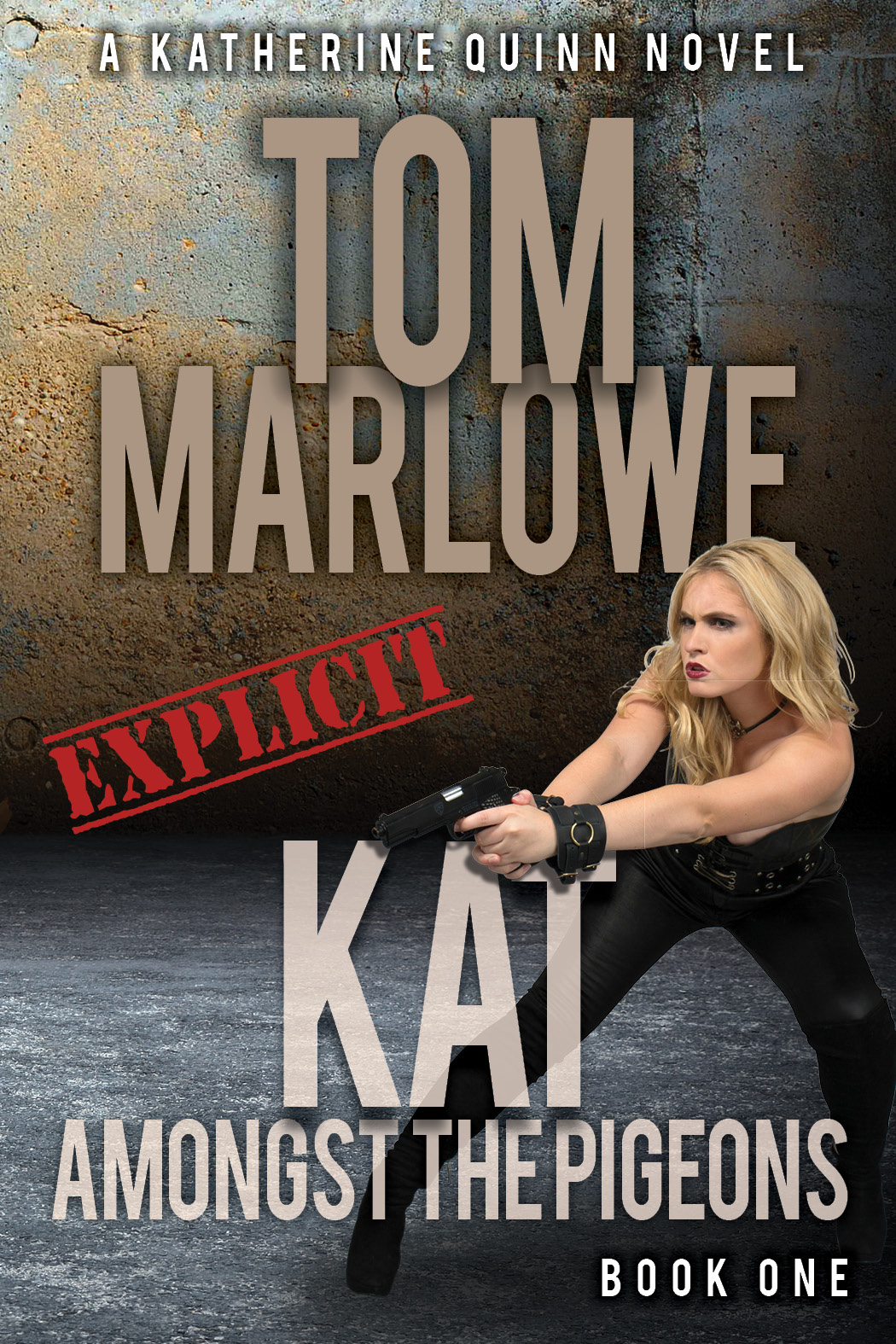 Kat Amongst The Pigeons - Part 1 (Katherine Quinn, #1) by Tom Marlowe ...