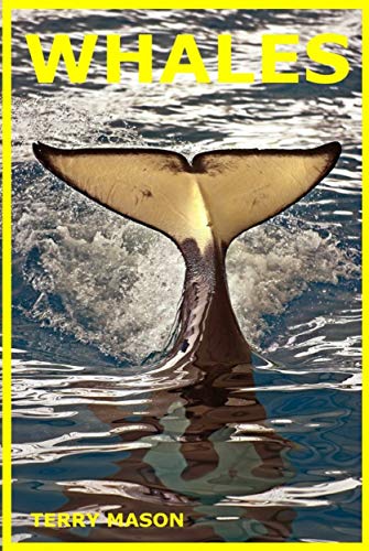 Whales: Whale Facts for Kids,Whales Gentle Giants of the Sea by Terry ...