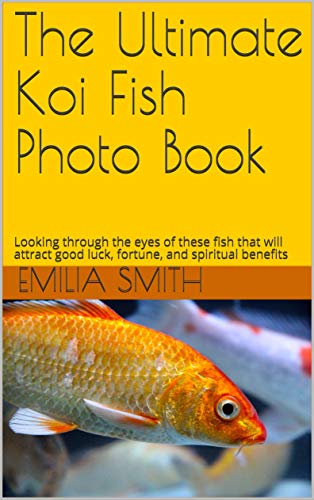 The Ultimate Koi Fish Photo Book: Looking through the eyes of these ...