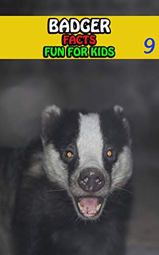Badger Facts: Badgers Fact Books For Kids Series For Girls or Boys Ages ...