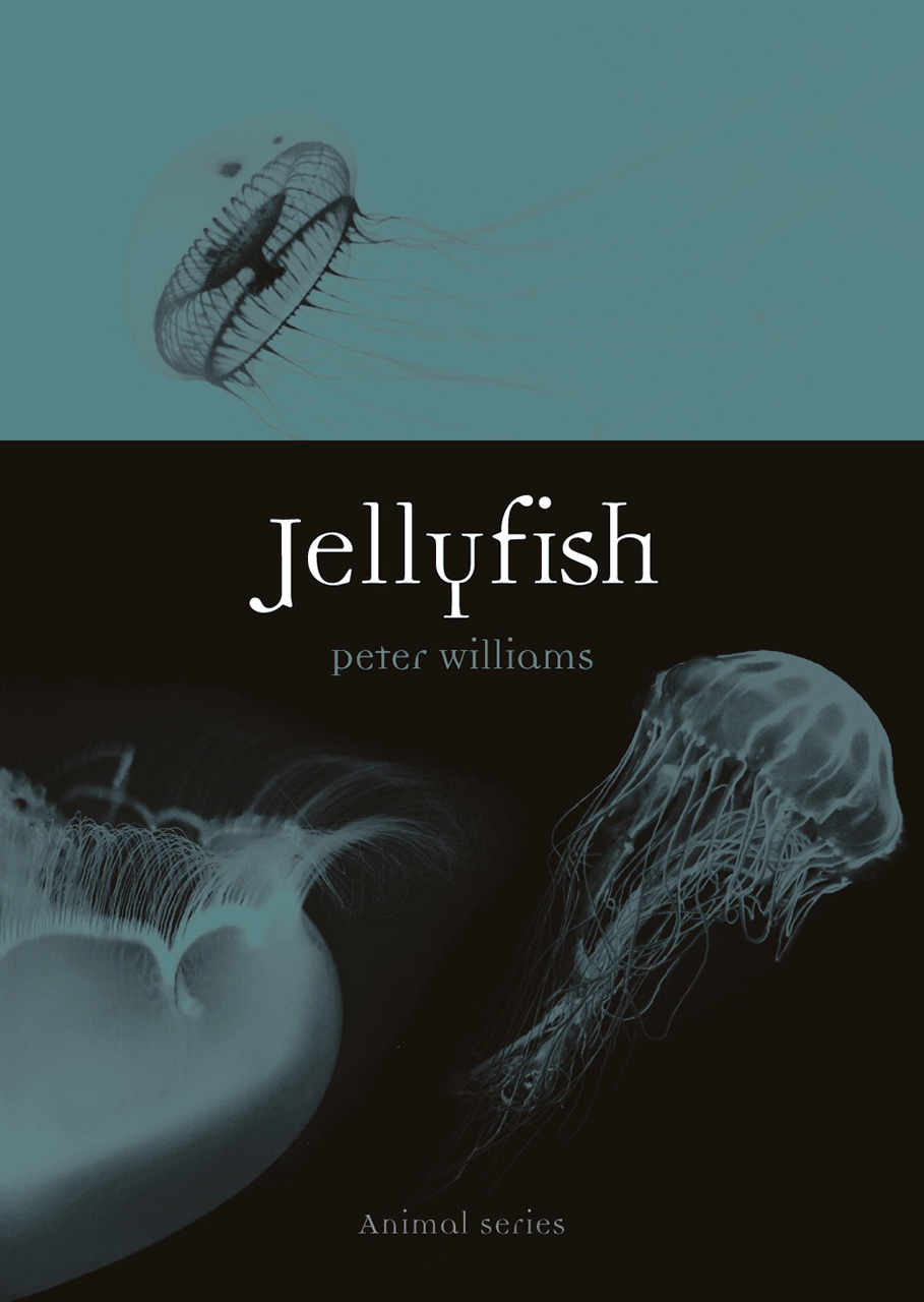 Jellyfish by Peter Williams | Goodreads