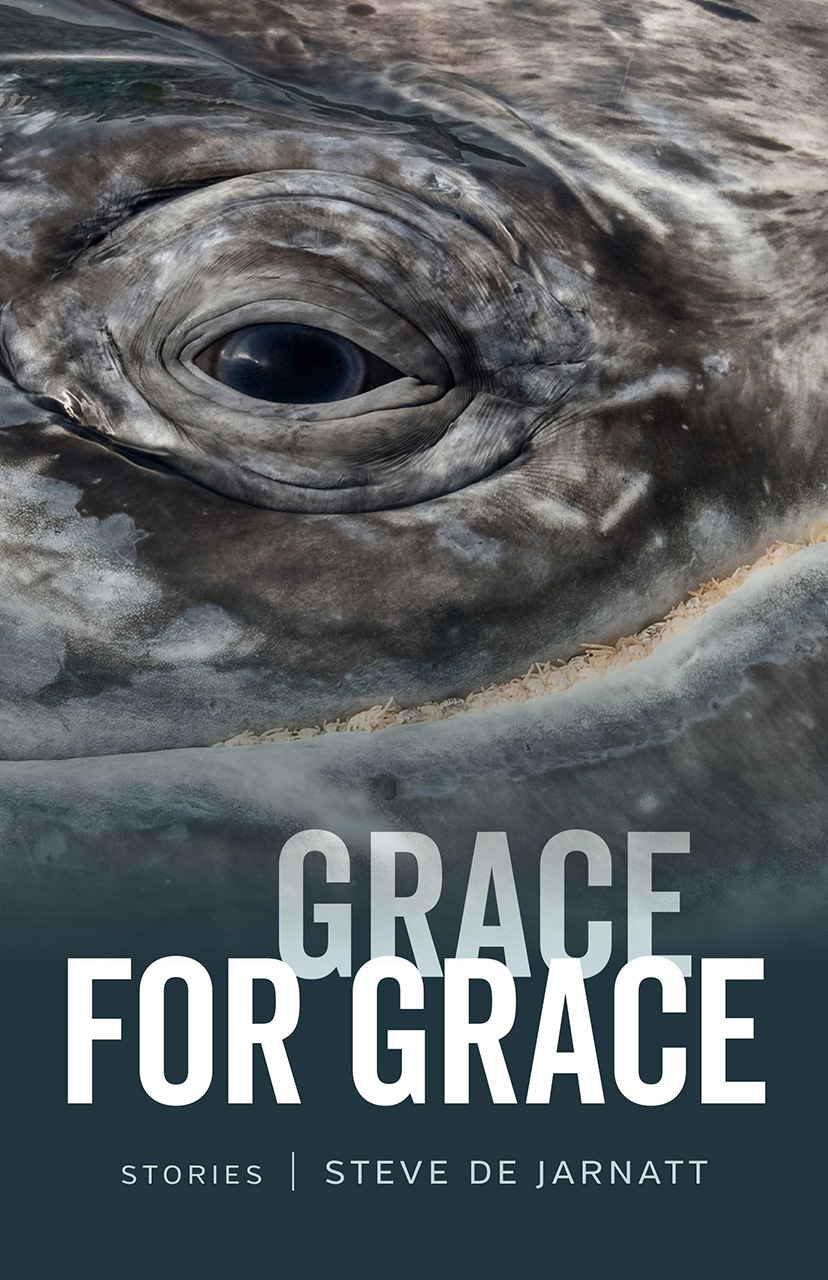 Grace for Grace: Stories by Steve De Jarnatt | Goodreads