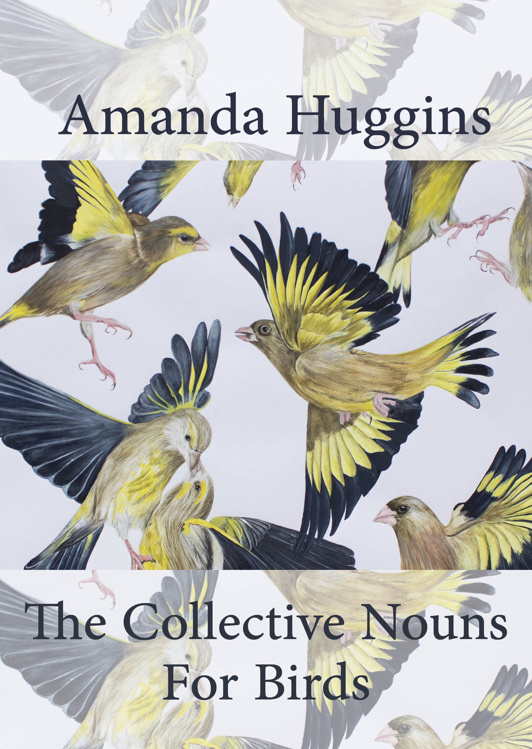 The Collective Nouns for Birds by Amanda Huggins | Goodreads