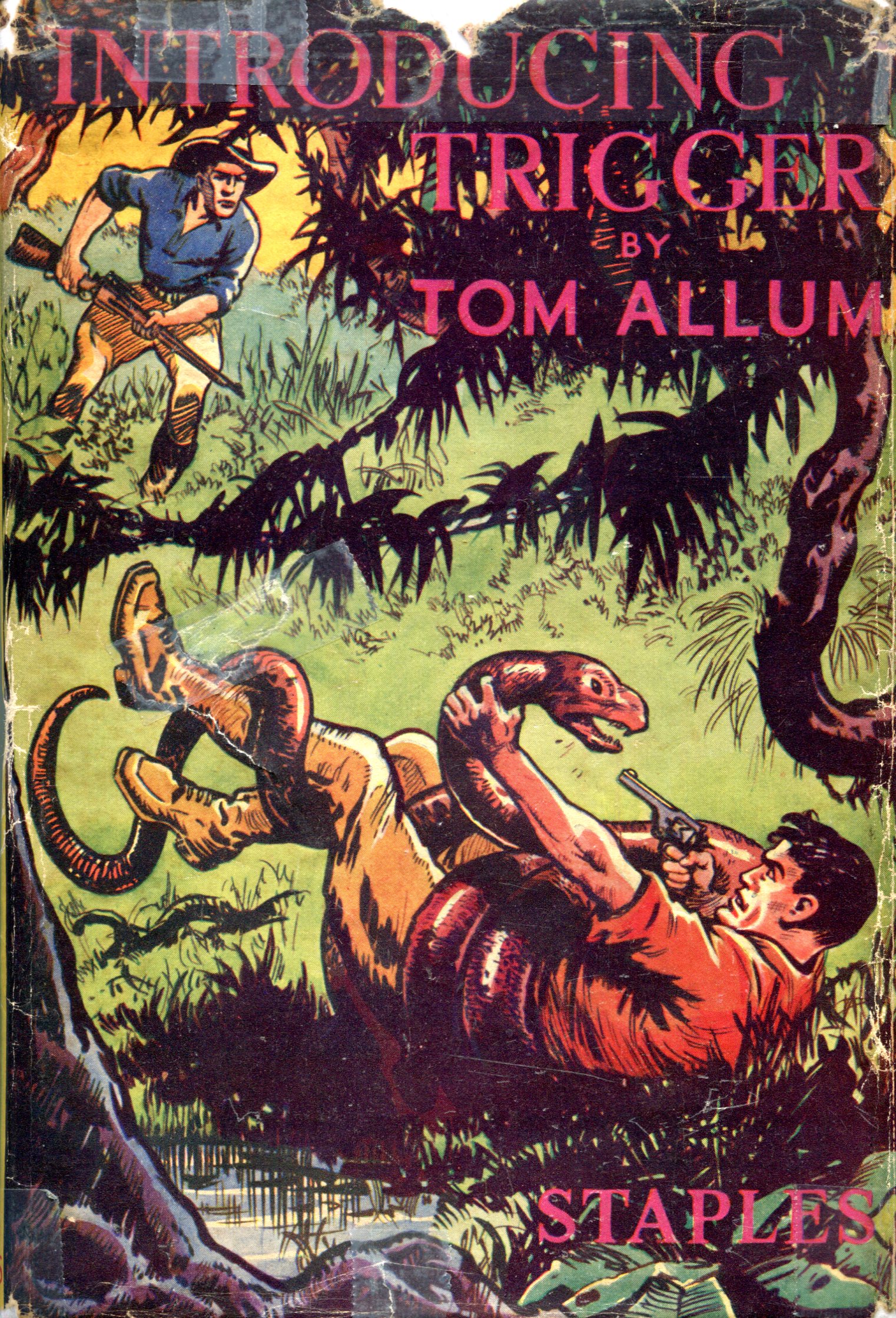 Introducing Trigger by Tom Allum | Goodreads