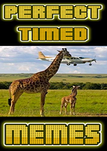 Memes: Amazing Perfectly Timed Pictures & Funny Memes Absolutely ...