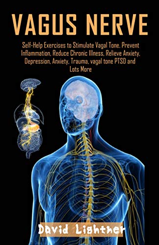 Vagus Nerve (English Edition): Self-Help Exercises to Stimulate Vagal ...