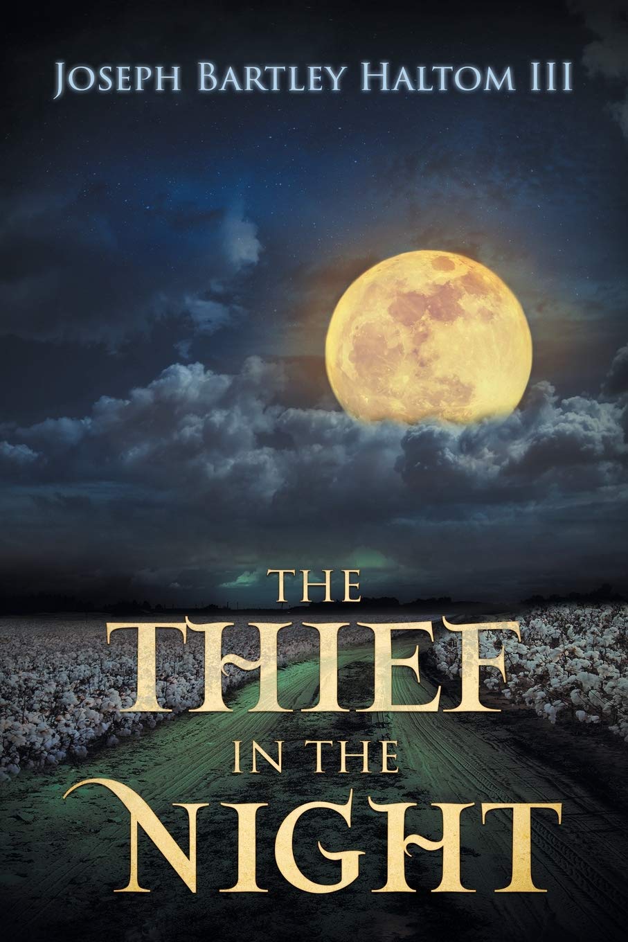 The Thief in the Night by Joseph Bartley Haltom III | Goodreads