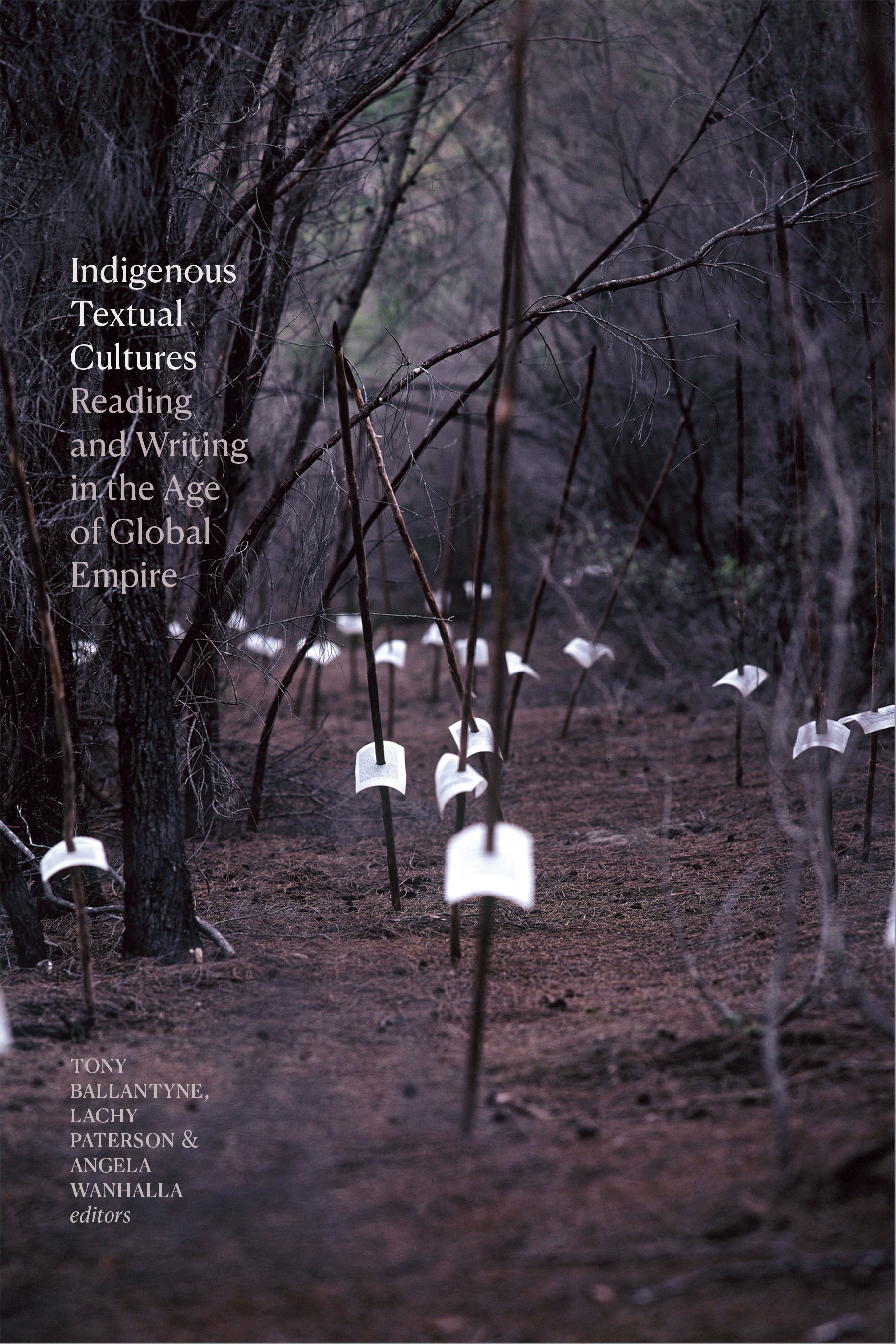 Indigenous Textual Cultures: Reading and Writing in the Age of Global ...