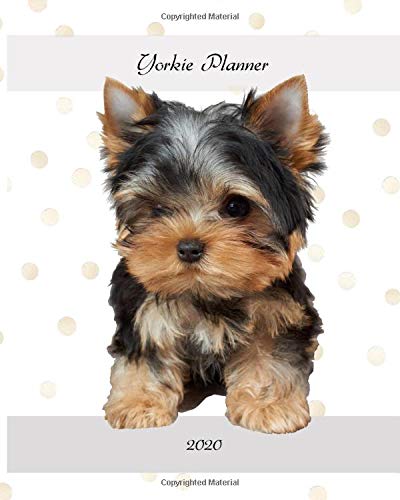 Yorkie Planner 2020: 2020 Weekly and Monthly Planner | Yorkie Calendar ...