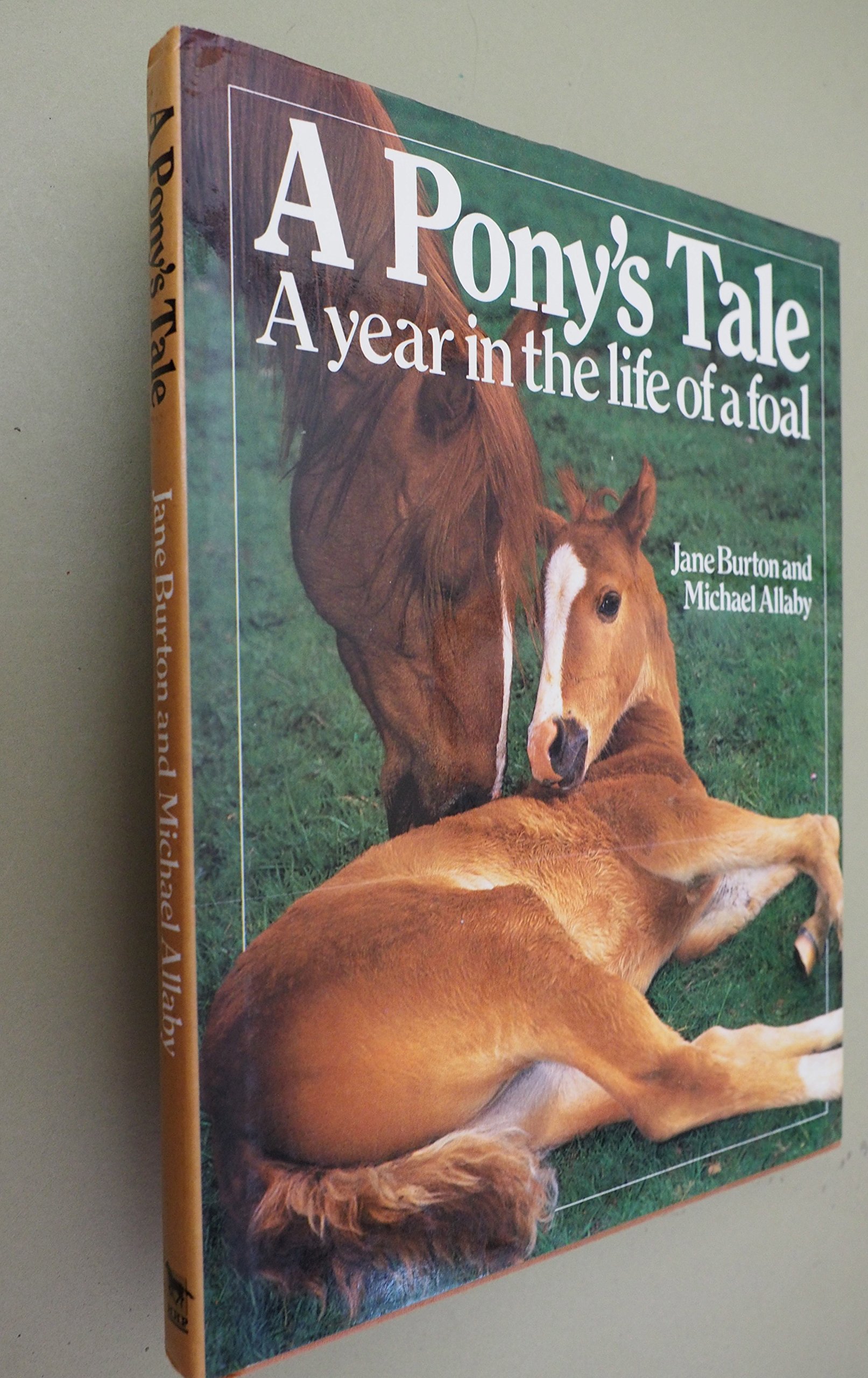 A Pony's Tale: A Year in the Life of a Foal by Michael Allaby | Goodreads