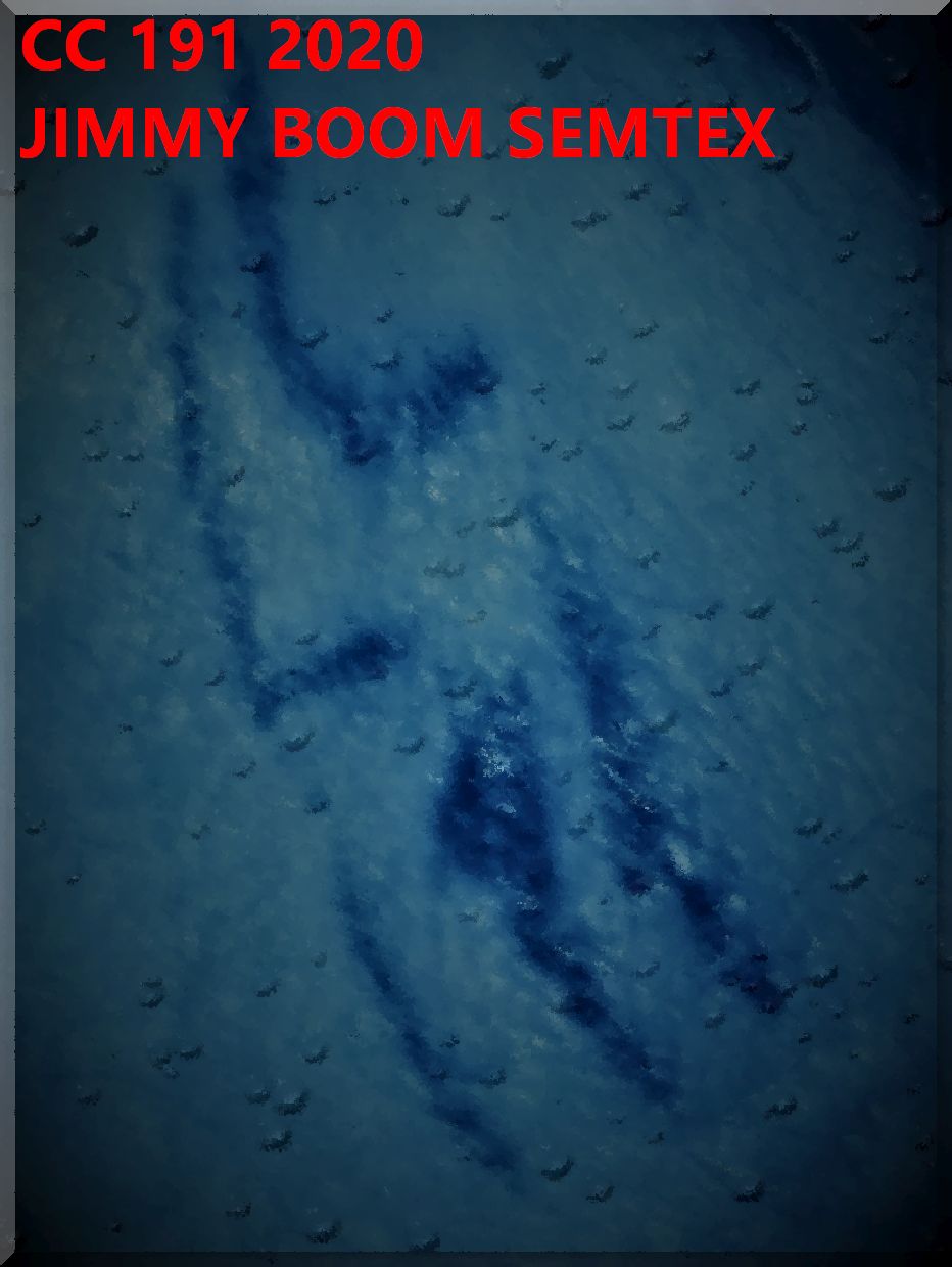 CC 191 2020 by Jimmy Boom Semtex | Goodreads