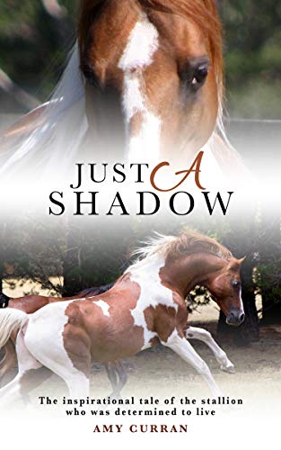 Just A Shadow by Amy Curran | Goodreads