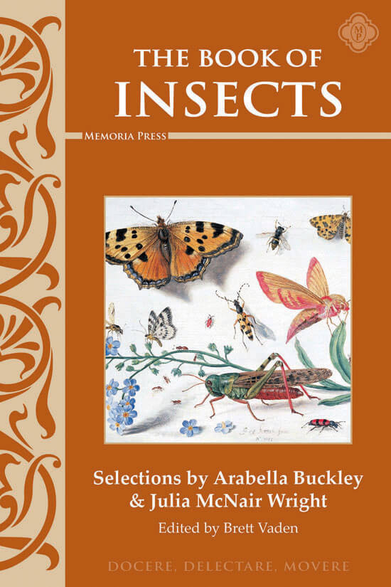 Book of Insects: Selections by Arabella Burton Buckley | Goodreads