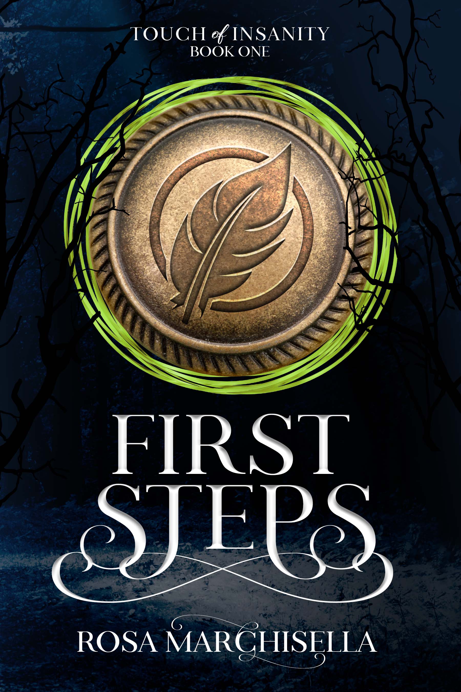 First Steps (Touch of Insanity, #1) by Rosa Marchisella | Goodreads