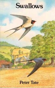 Swallows by Peter Tate | Goodreads