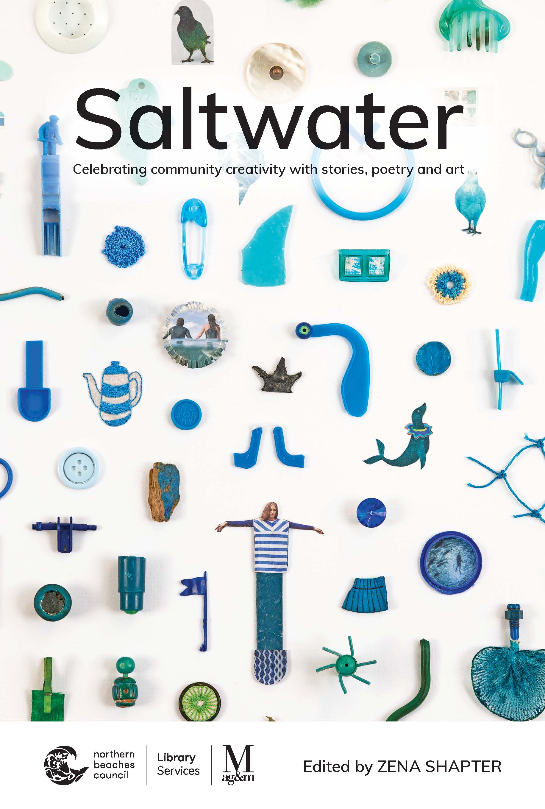 Saltwater by Zena Shapter | Goodreads