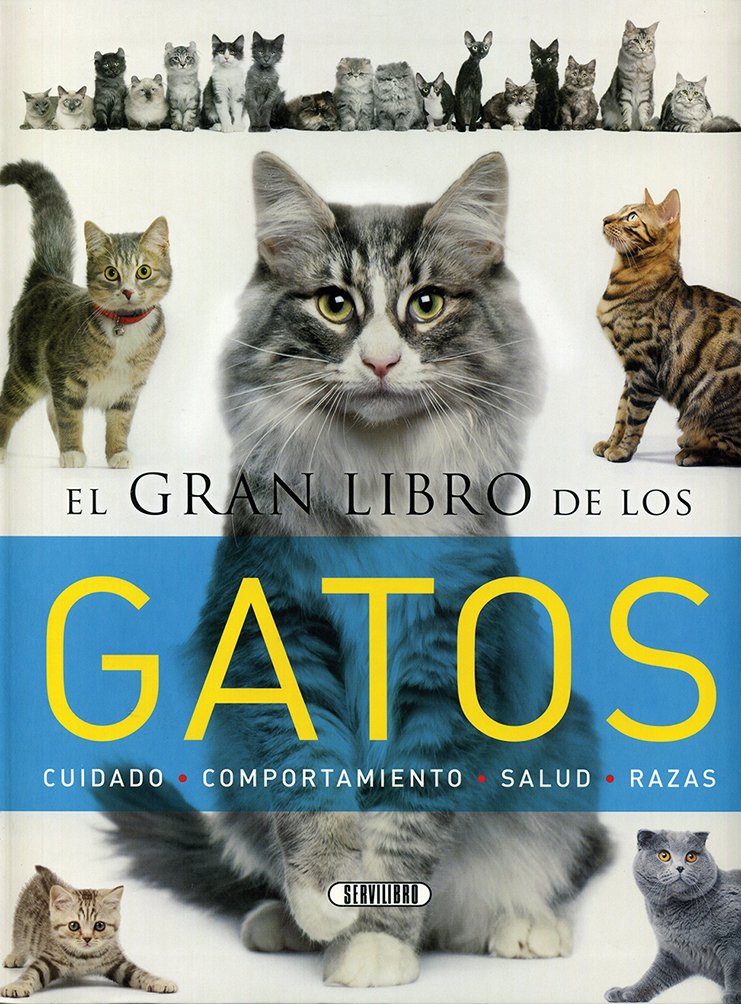 El gran libro de los gatos by Equipo de Servilibro | Goodreads