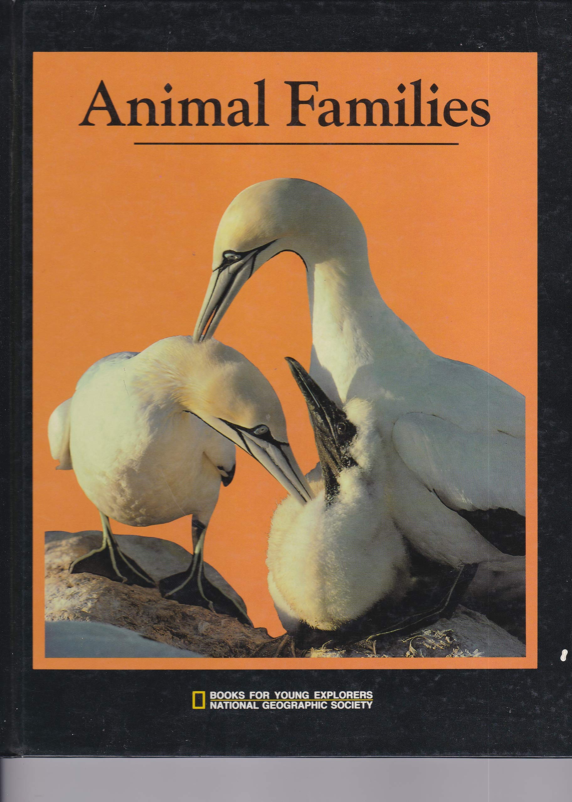 Animal Families (Books for Young Explorers) by Gene S. Stuart | Goodreads