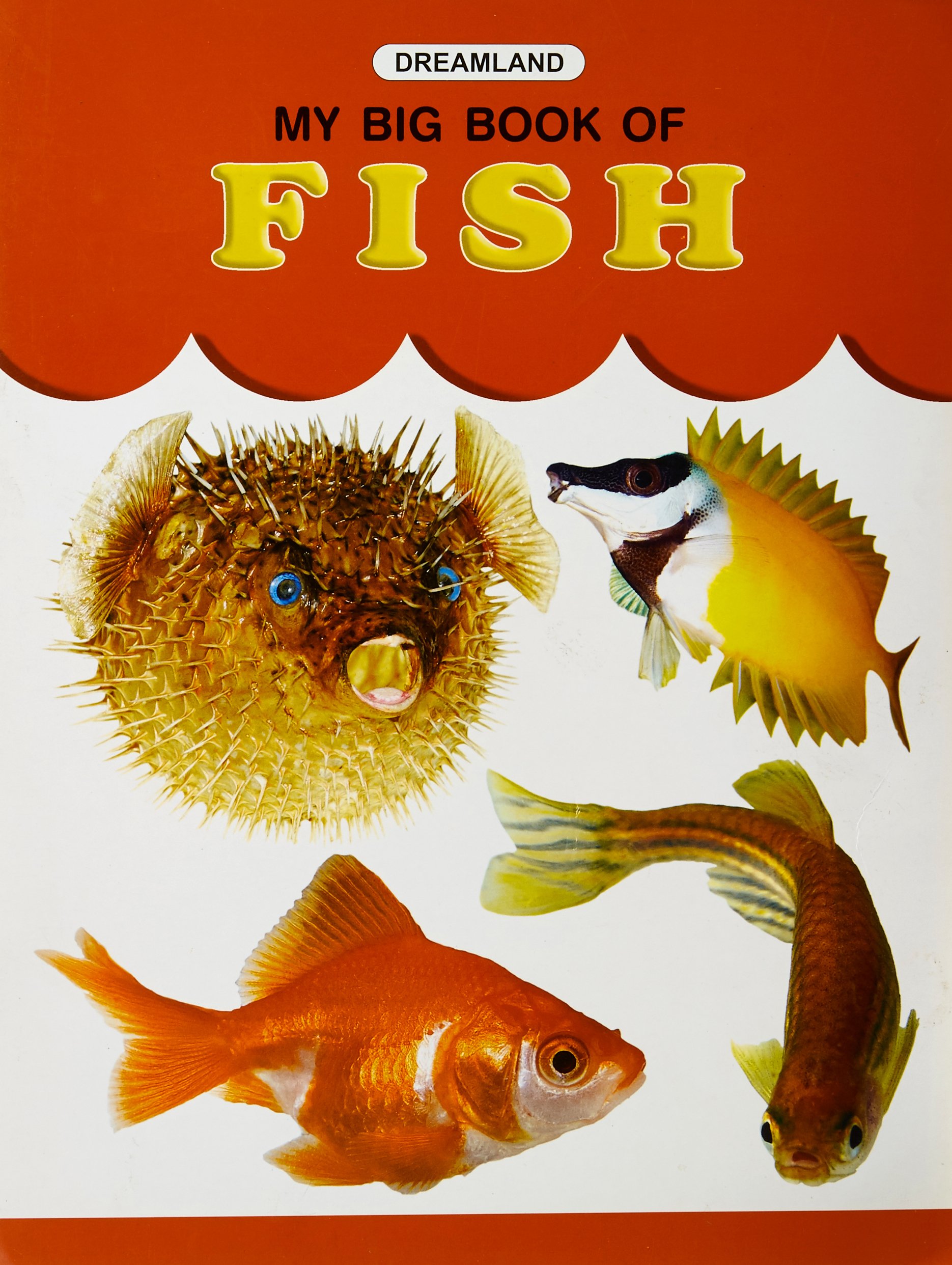 My Big Book Of Fishes by Anuj | Goodreads