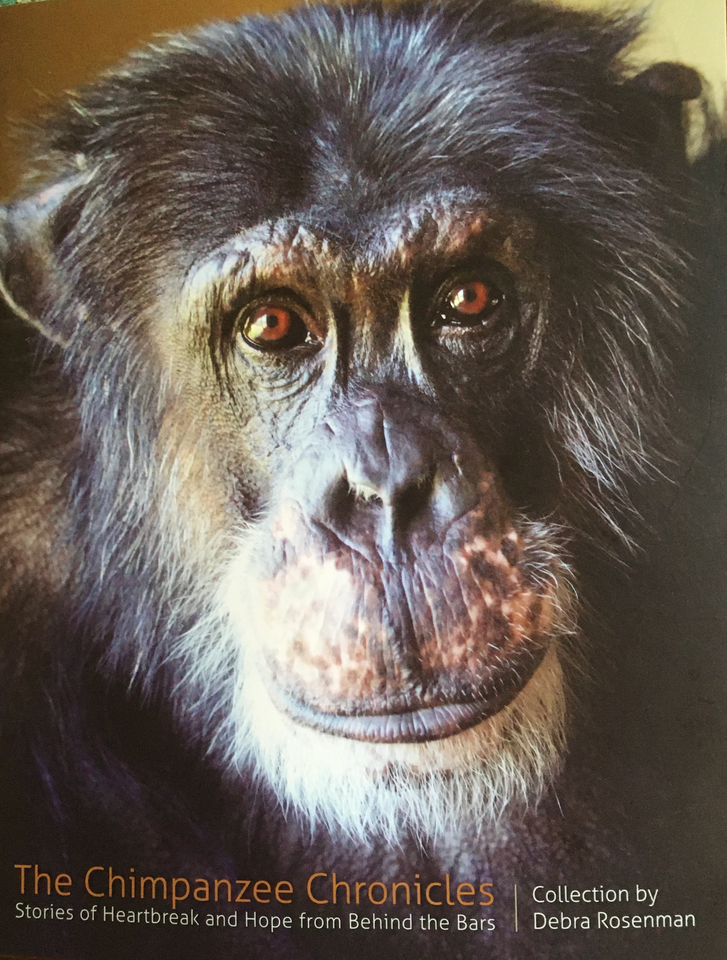 The Chimpanzee Chronicles: Stories of Heartbreak and Hope from Behind ...