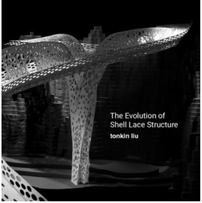 The Evolution of Shell Lace Structure by Mike Tonkin | Goodreads