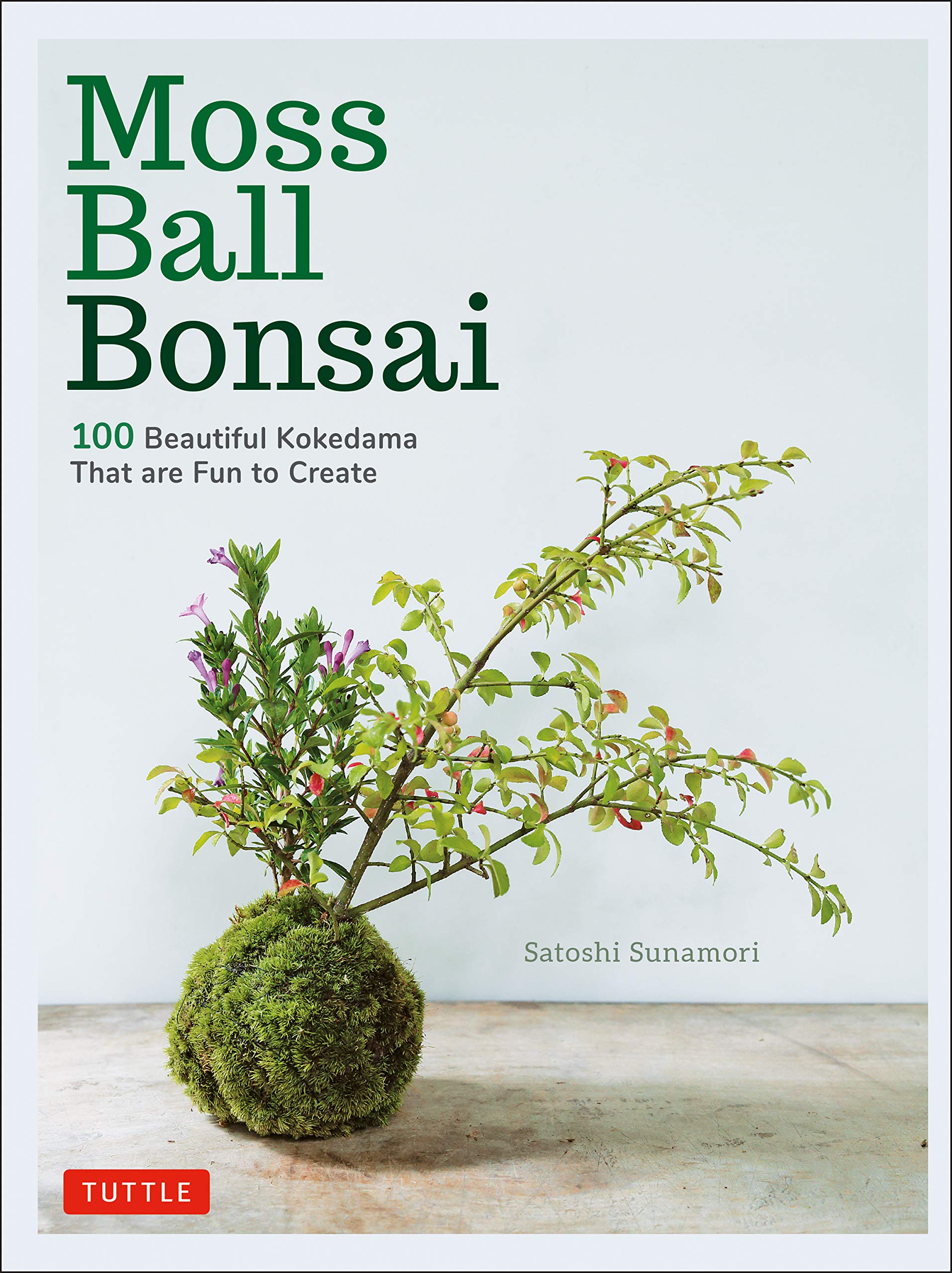 Moss Ball Bonsai: 100 Beautiful Kokedama That are Fun to Create by ...