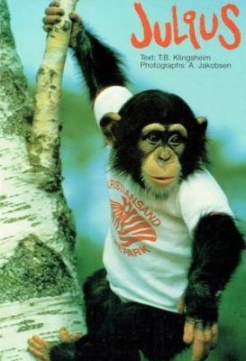 Julius by Trygve Bj. Klingsheim | Goodreads