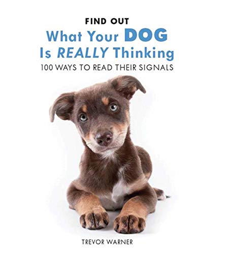 Find Out What Your Dog is Really Thinking: 100 Ways to Read Thier ...