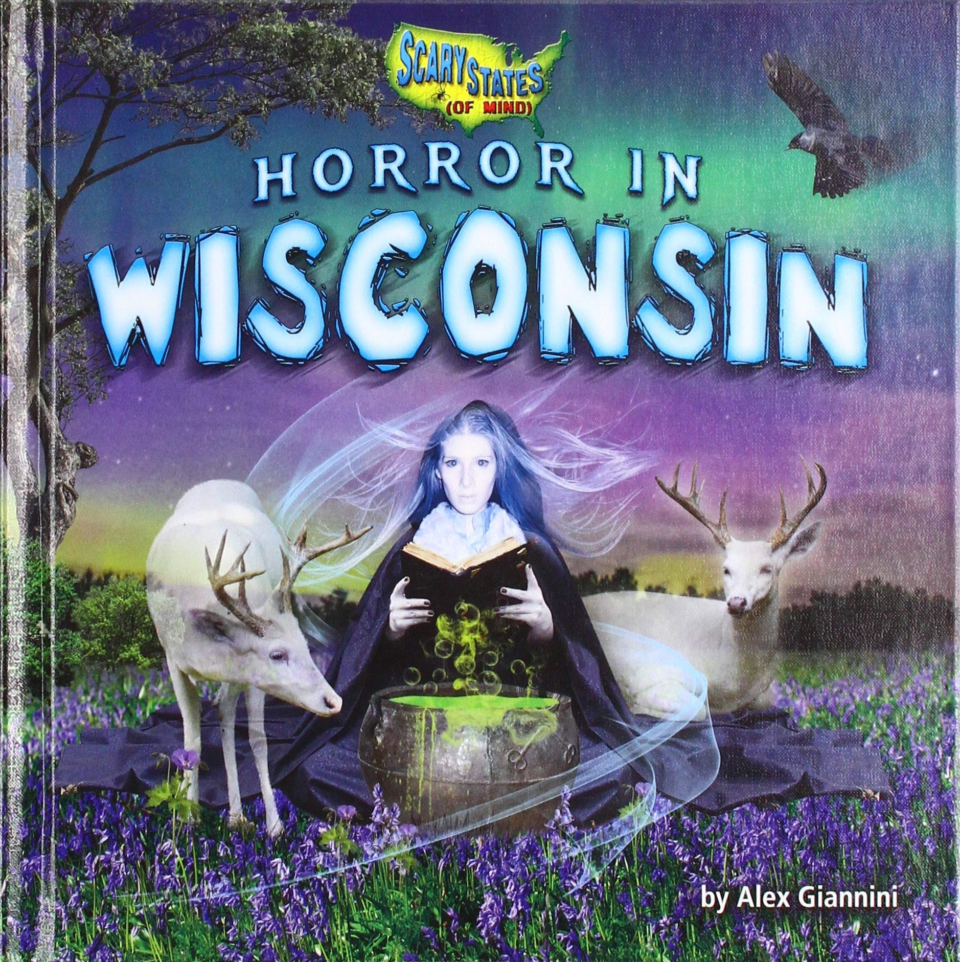 Horror in Wisconsin (Scary States of Mind) by Alex Giannini | Goodreads