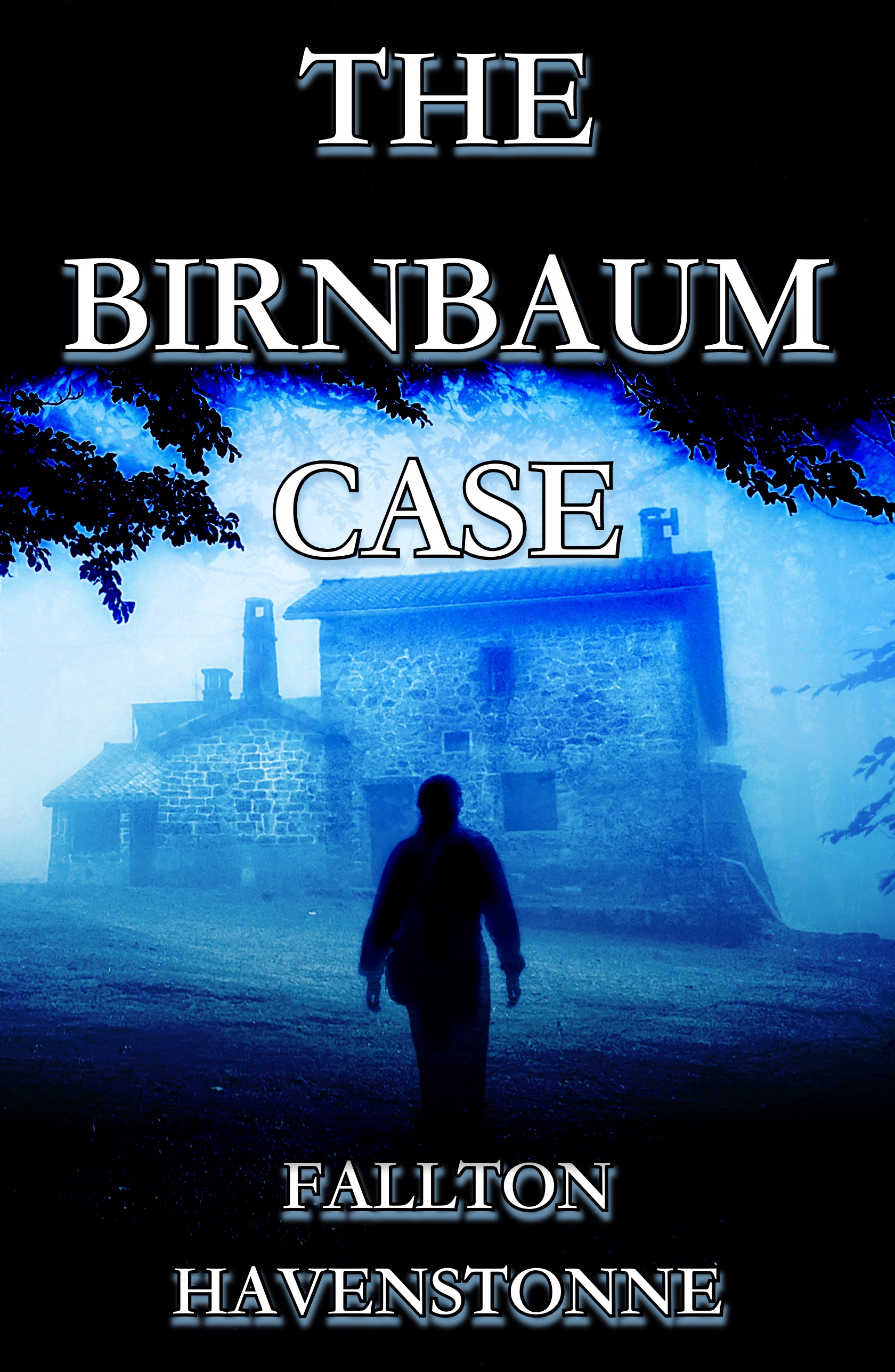 The Birnbaum Case by Fallton Havenstonne | Goodreads