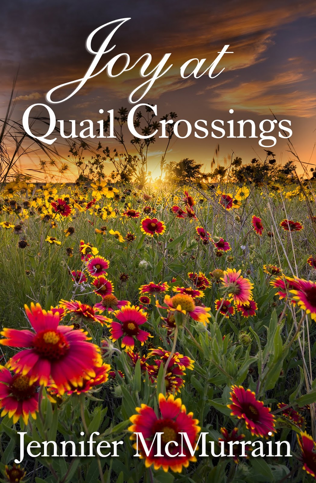 Joy at Quail Crossings (Quail Crossings, #5) by Jennifer McMurrain ...