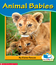 Animal Babies by Elaine Pascoe | Goodreads