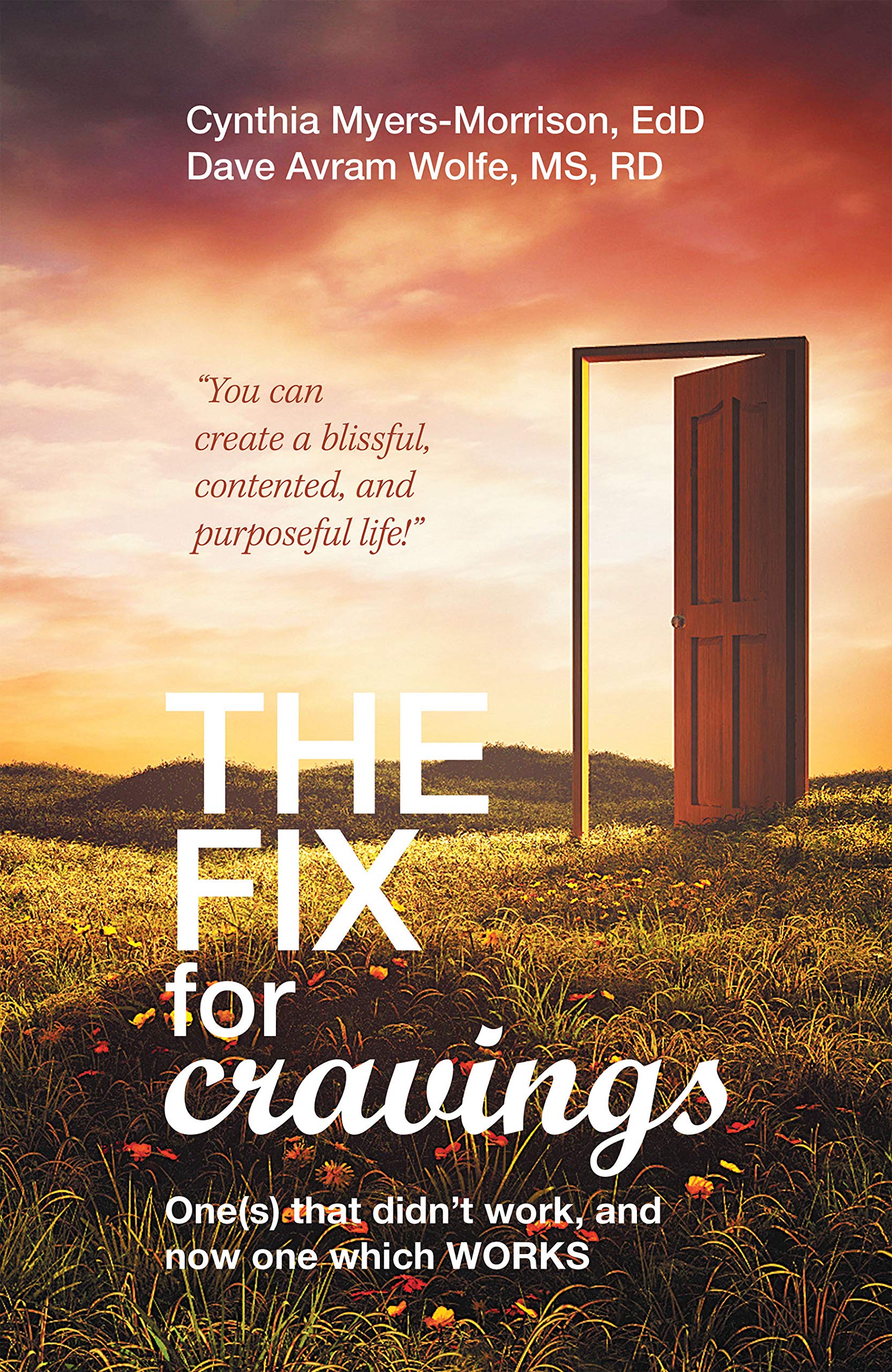The Fix for Cravings: One(S) That Didn’t Work, and Now One Which Works ...