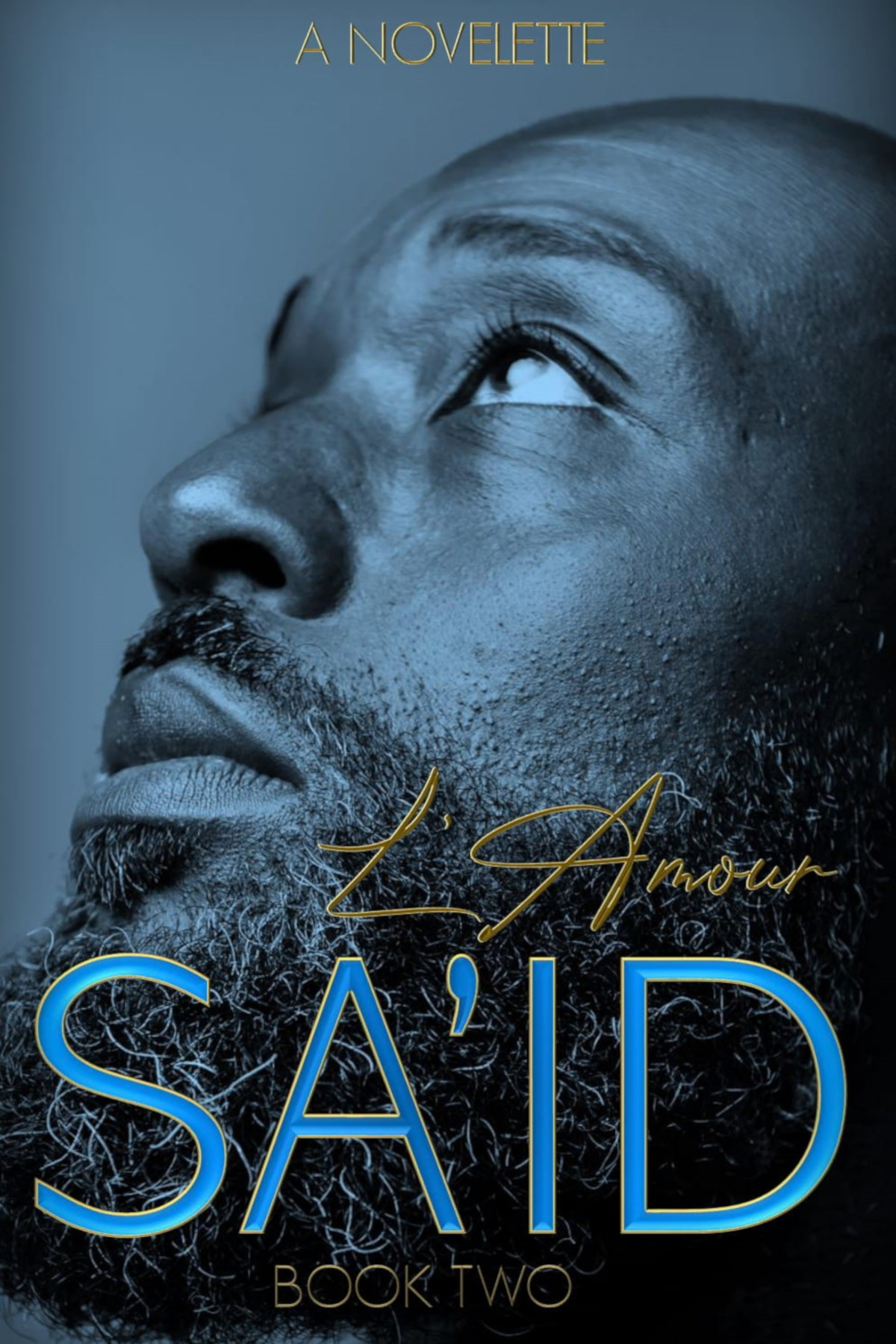 SA'ID Book 2 (SA'ID #2) by L'Amour Coulture | Goodreads