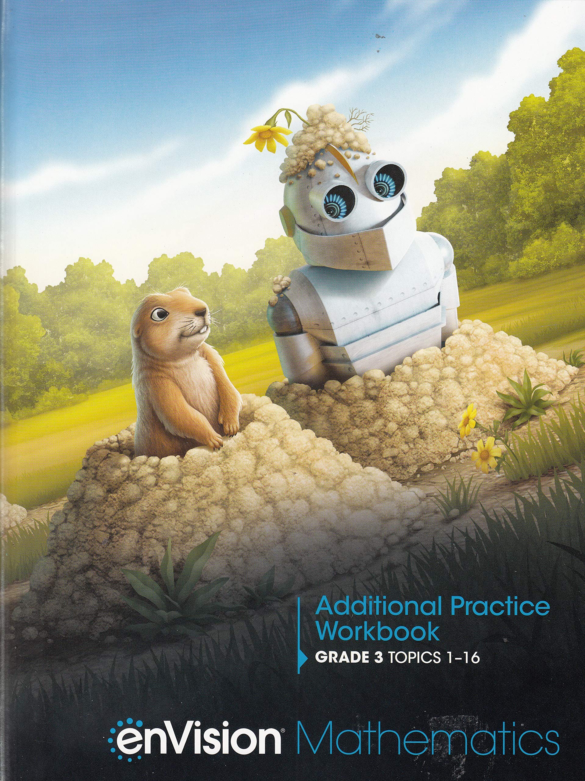 Envision Mathematics 2020 Additional Practice Workbook Grade 3 By Scott envision-mathematics-2020-additional-practice-workbook-grade-3-by-scott