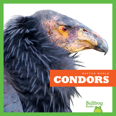 Condors (Bullfrog Books: Raptor World) by Jenna Lee Gleisner | Goodreads