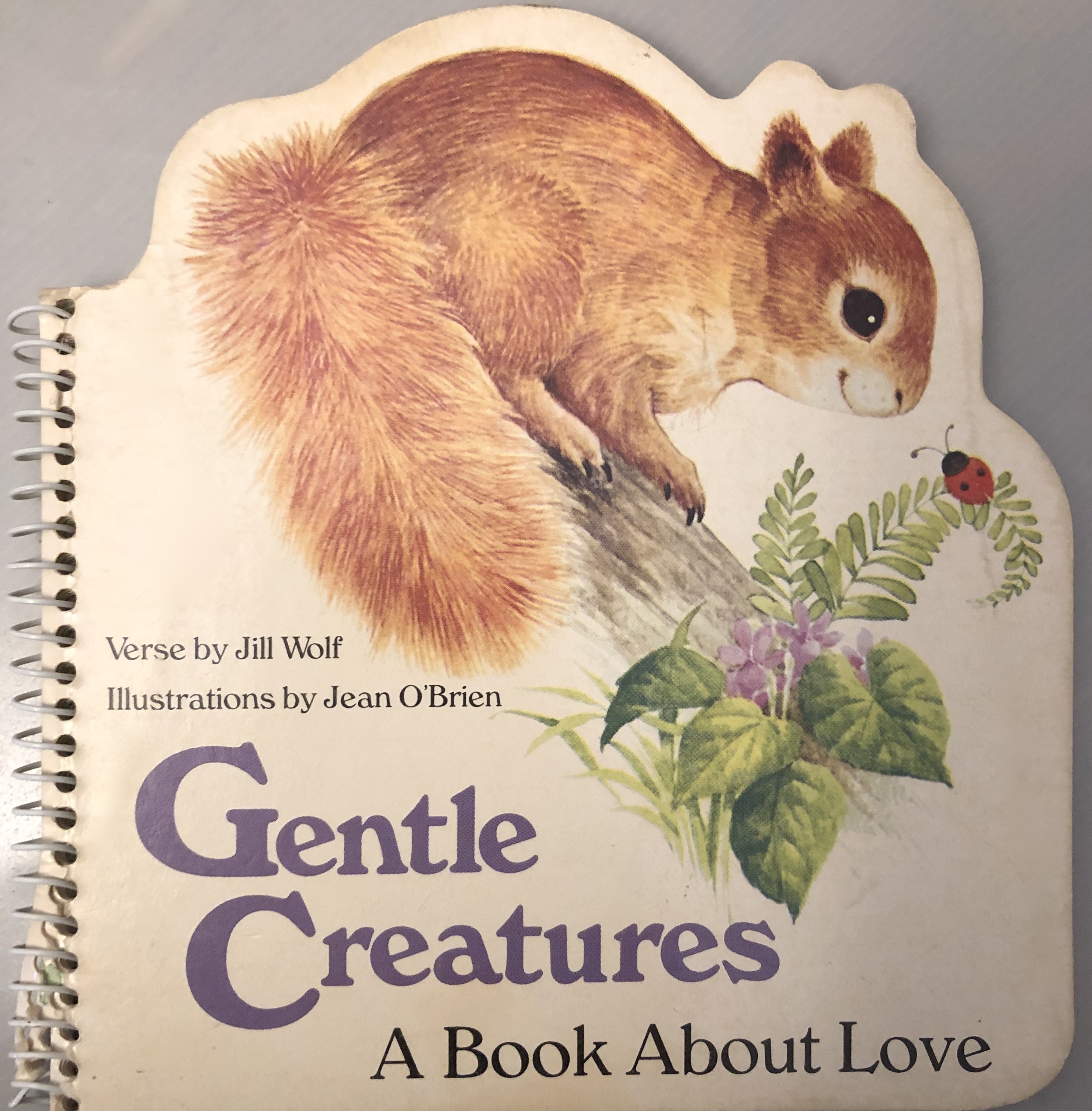 Gentle Creatures: A Book About Love (Little Shape Books) by Jill Wolf ...